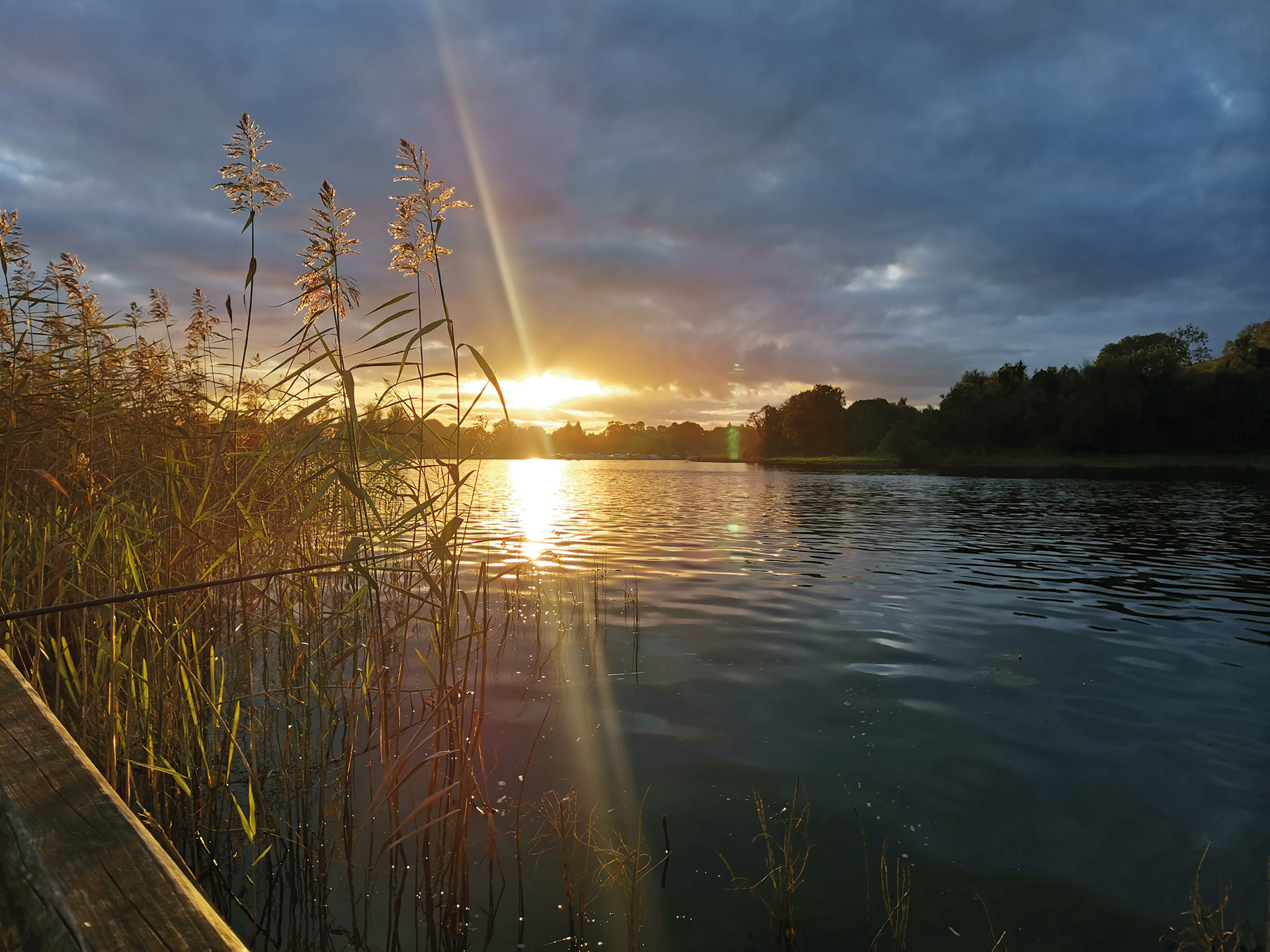 Mannok unveil 2026 calendar featuring stunning photographs captured by ...